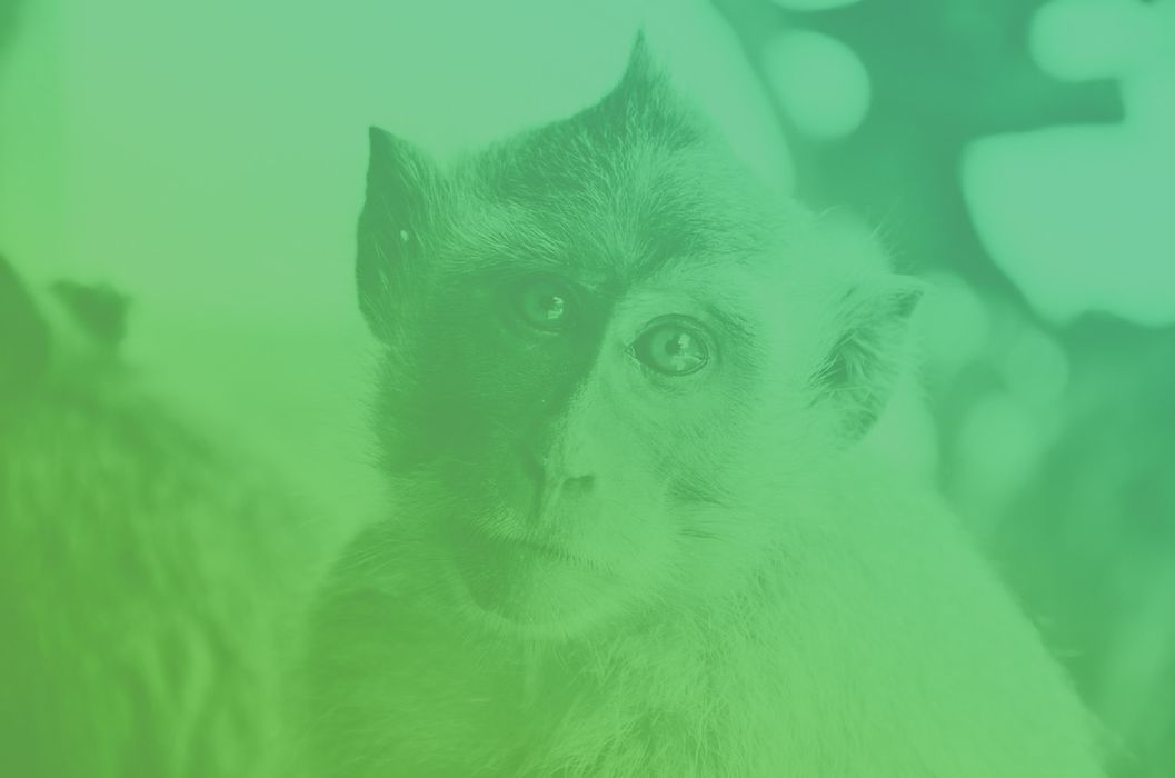 Frequently Asked Questions (FAQ) - Swag.com